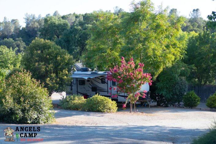Can you spot it? - Angels Camp RV Resort