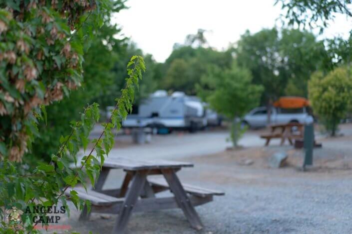 DSC06678 - Angels Camp RV Resort