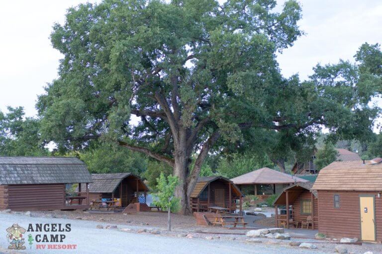 Cabins & Lodges - Angels Camp RV Resort